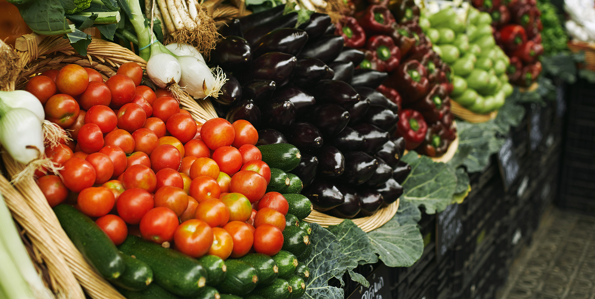 Oak & Acorns Food – My WordPress Blog